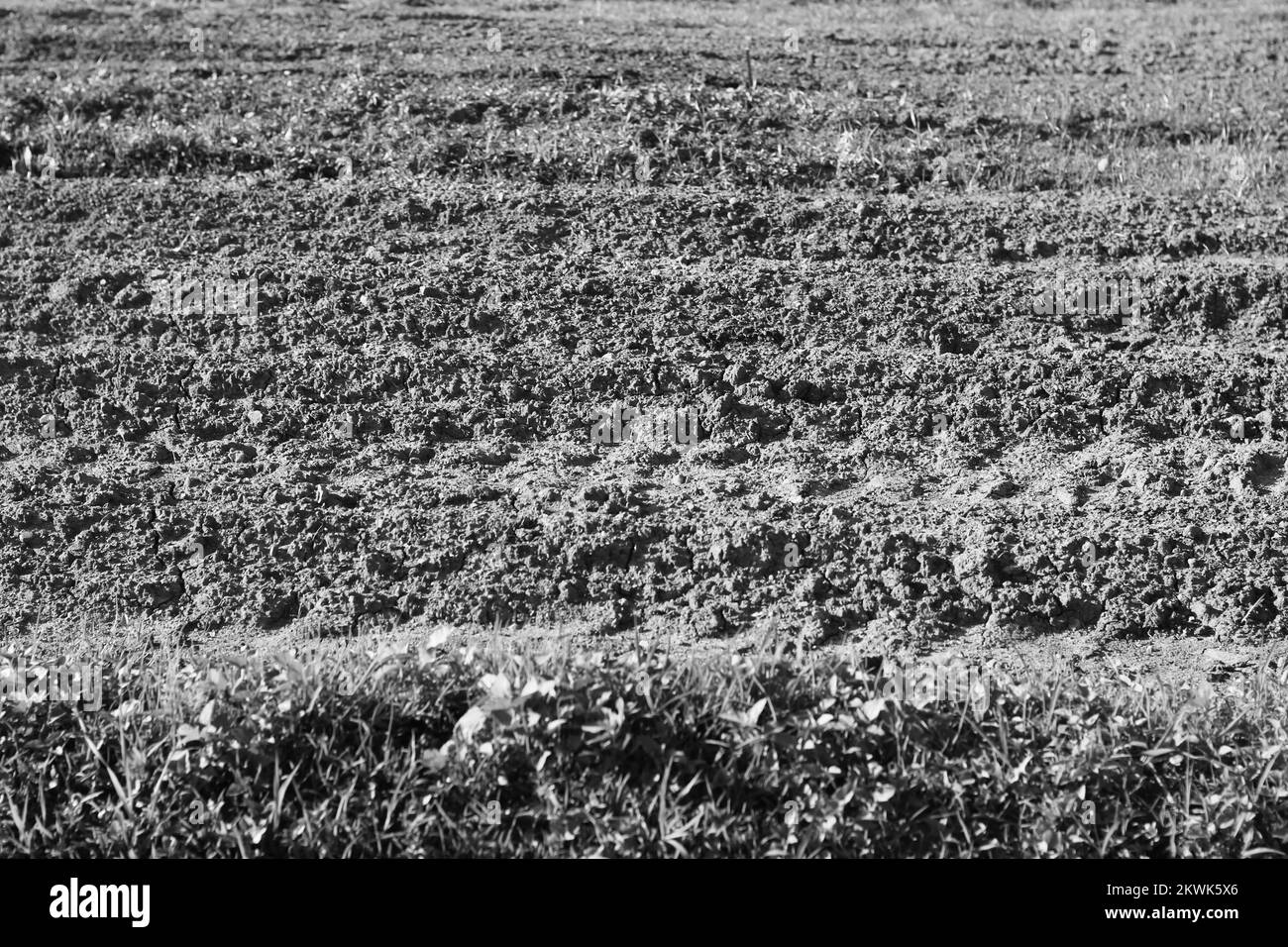 Tilled land and field getting the soil ready for planting seeds in a ...