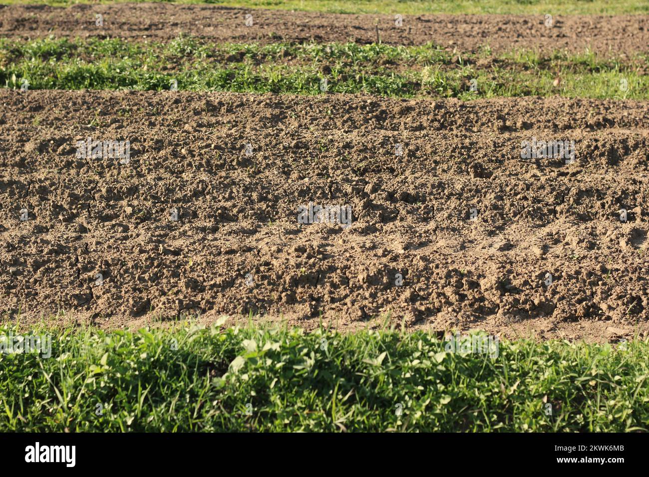 Tilled land and field getting the soil ready for planting seeds Stock ...