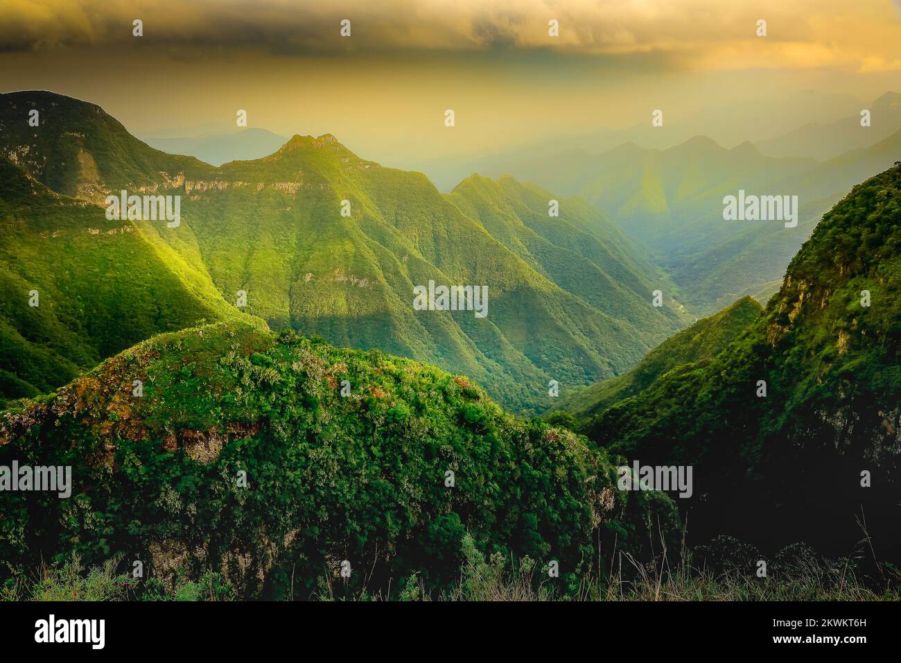 Canyon Montenegro and jungle valley at sunny day, Rio Grande do Sul ...