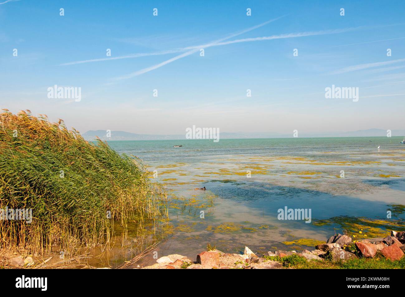 Landscape at the southern shore of Lake Balaton, Hungary Stock Photo ...