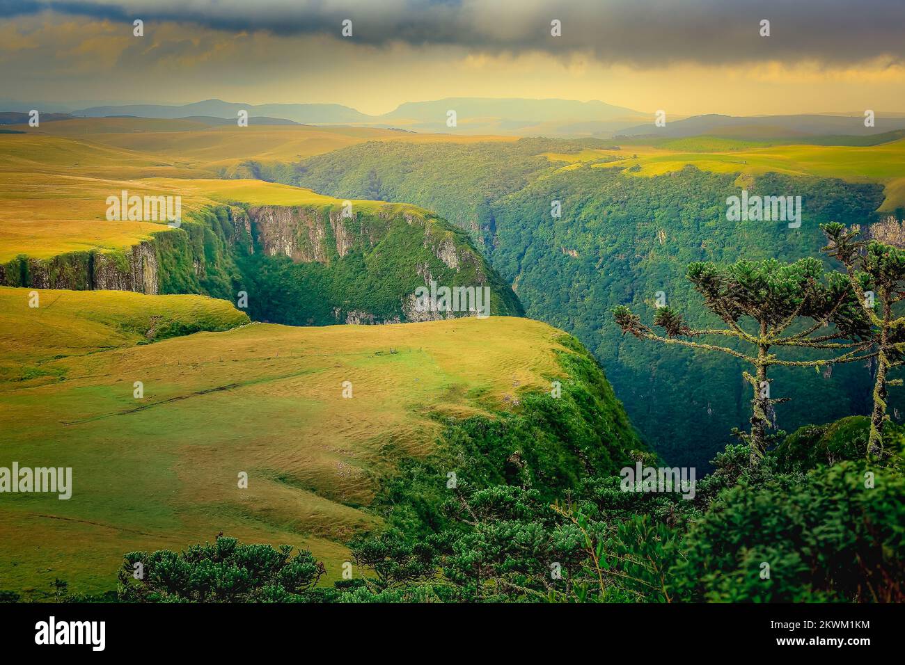 Canyon Montenegro and jungle valley at sunny day, Rio Grande do Sul ...