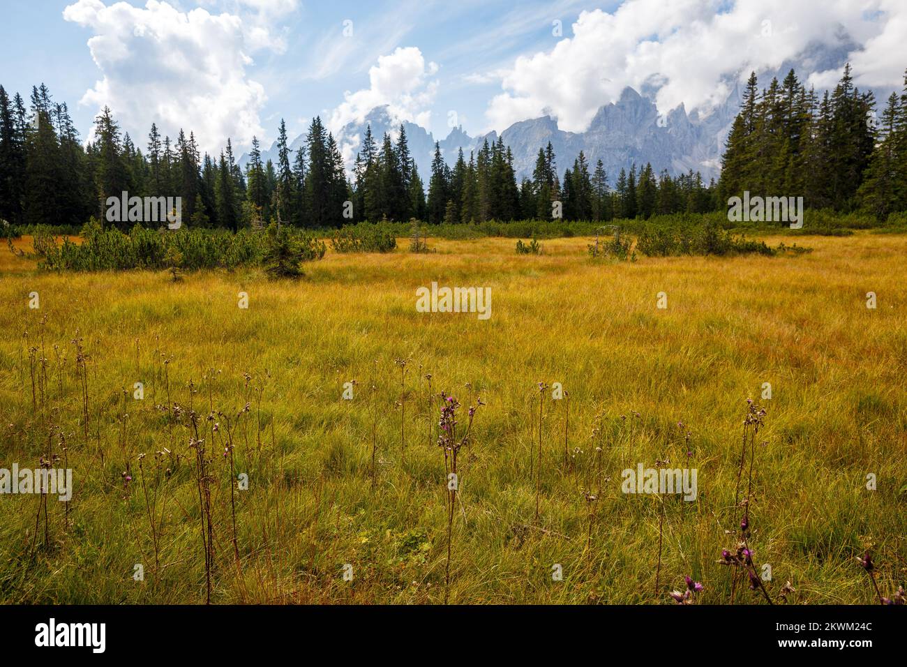 Monte covolo hi-res stock photography and images - Alamy