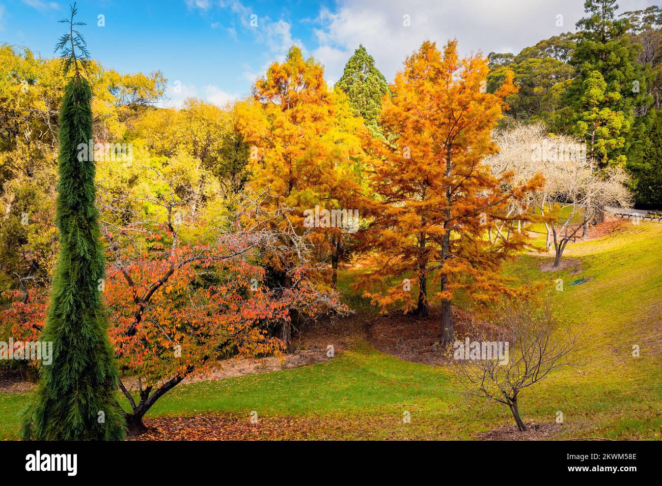 Mount Lofty public park on a day during autumn season Stock Photo - Alamy