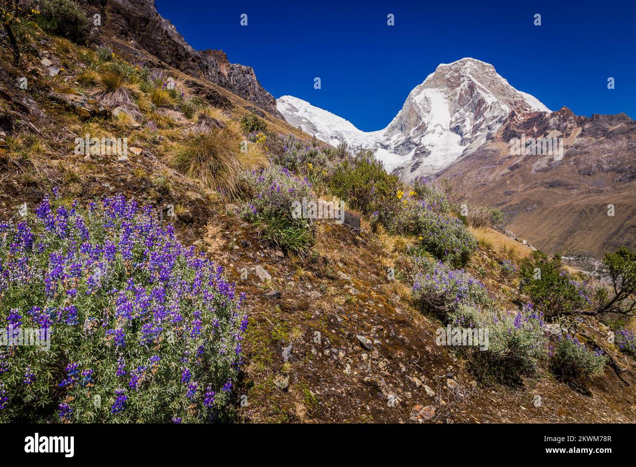 Huascaran Mountain massif in Cordillera Blanca, snowcapped Andes ...