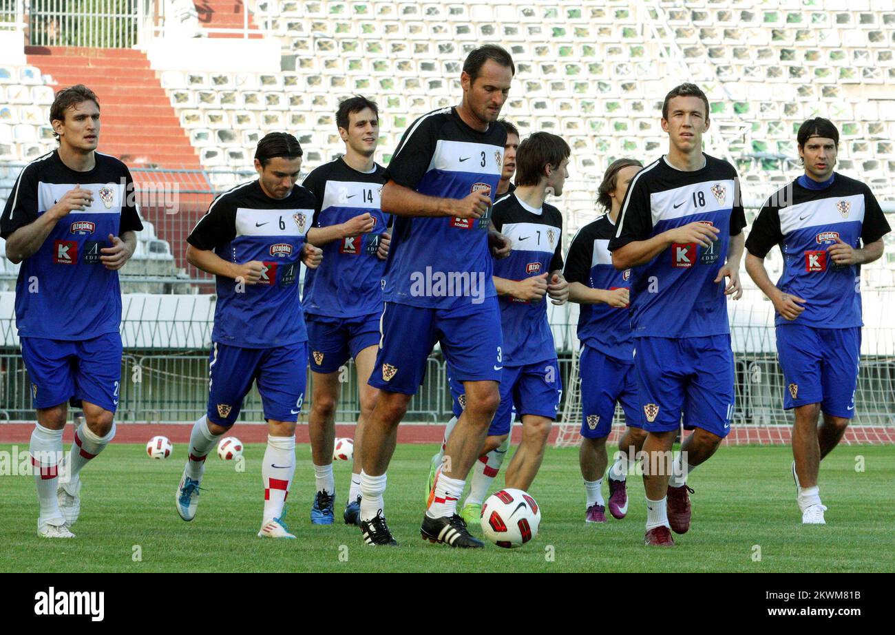 Croatia's Nikica Jelavic, Danijel Pranjic, Josip Simunic, Ivan Perisic ...