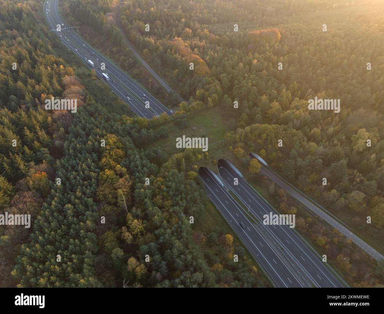 Ecoduct, ecopassage, nature bridge or game changeover. Infrastructure ...