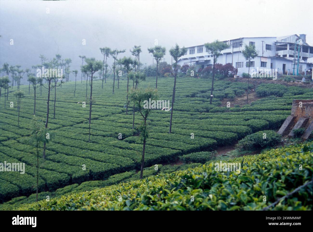 One of the most beautiful and serene hill stations that you would come ...