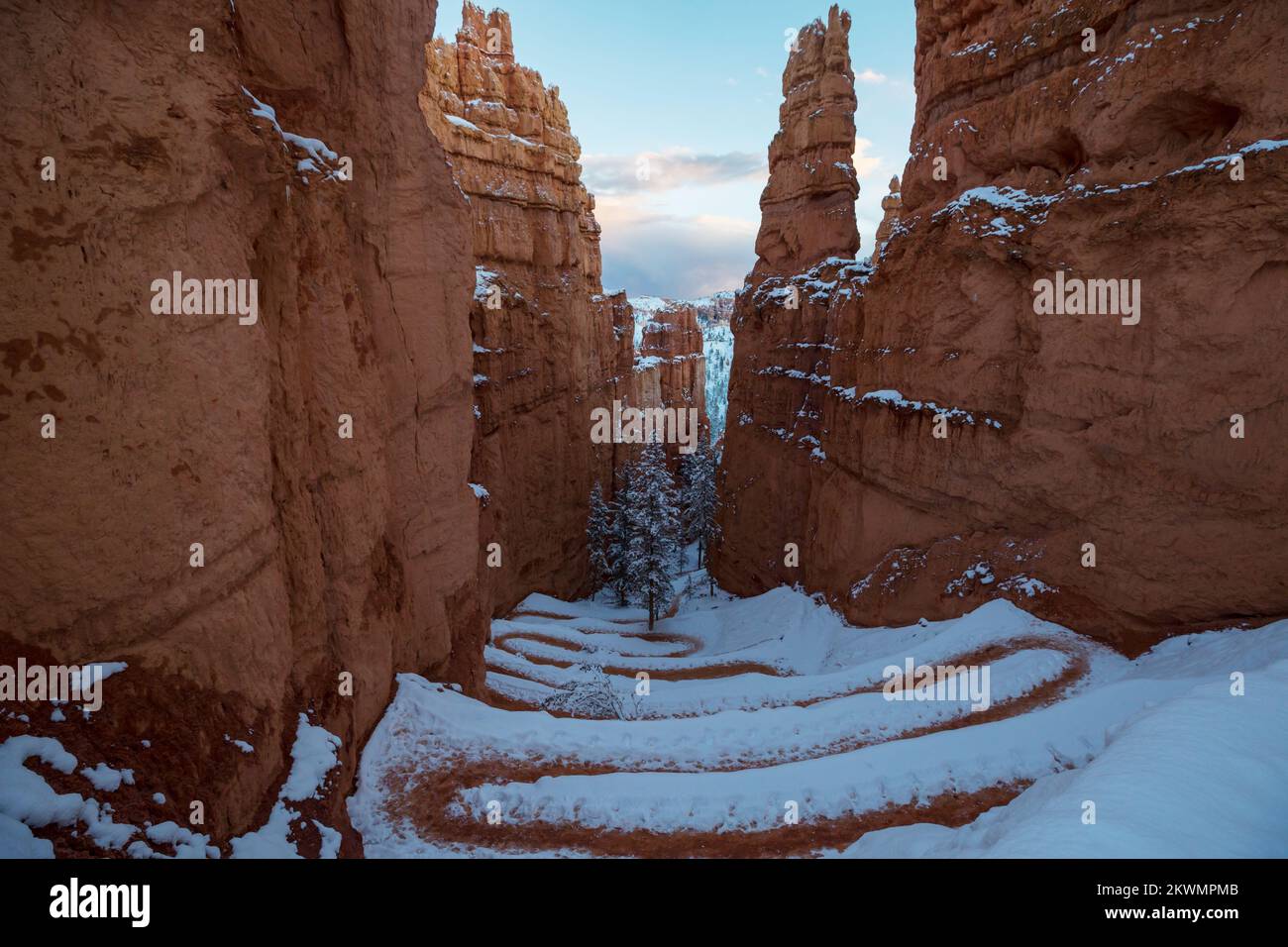 Picturesque colorful pink rocks of the Bryce Canyon National park in ...