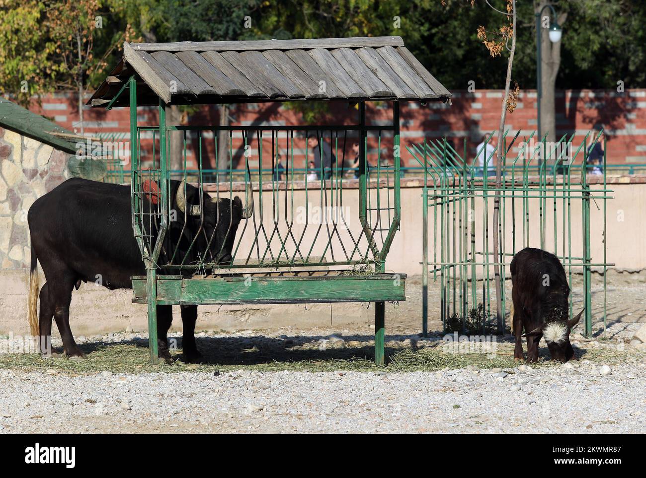 11.10.2012., Skopje, Macedonia - ZOO in Skopje was founded in 1926 by a ...