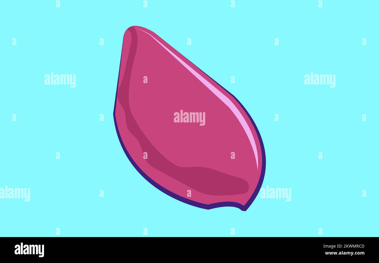 Seed growing into illustration Stock Vector Image & Art - Alamy