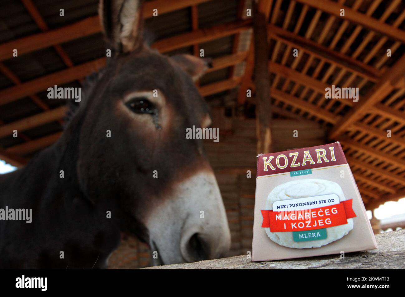 09.10.2012., Srijemska Mitrovica, Serbia - The most expensive cheese is ...