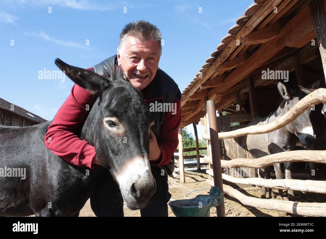 Donkey milk cheese hi-res stock photography and images - Alamy