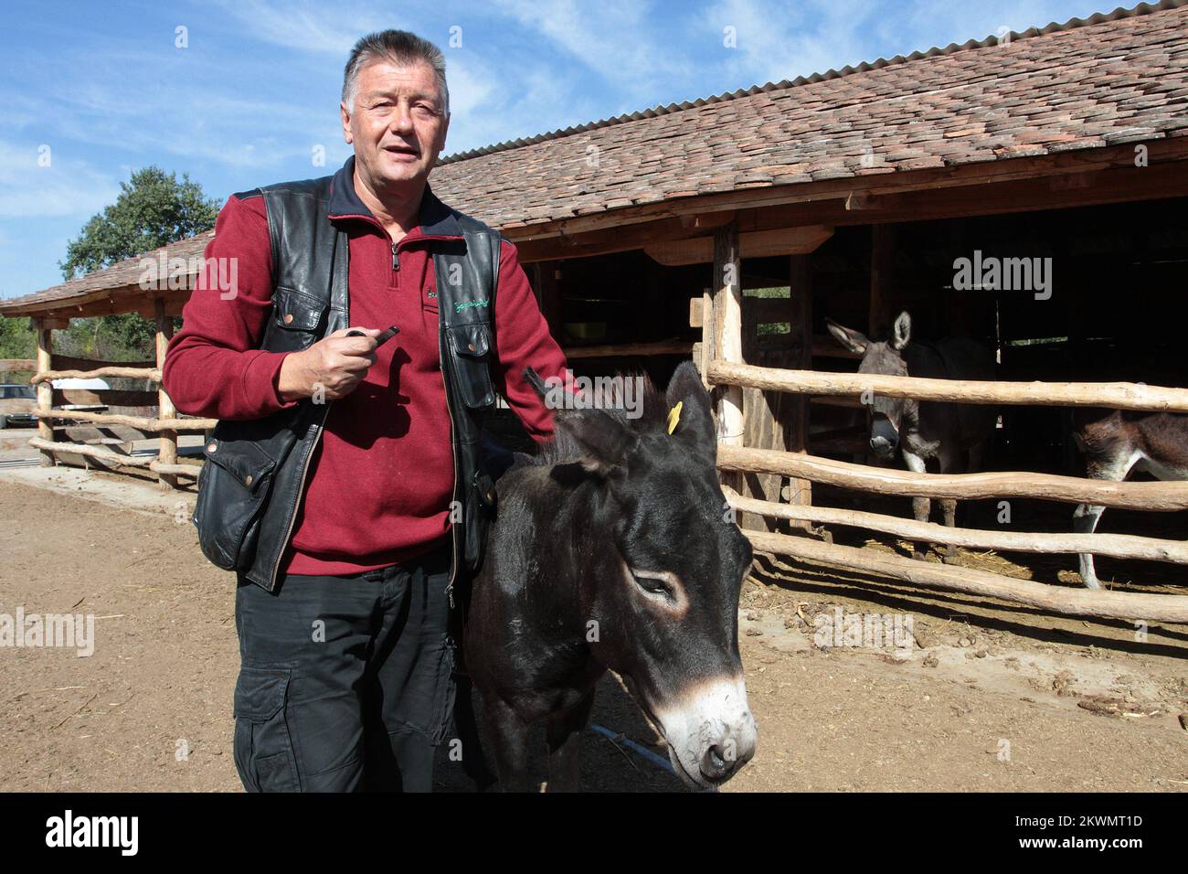 Kg cheese hi-res stock photography and images - Alamy