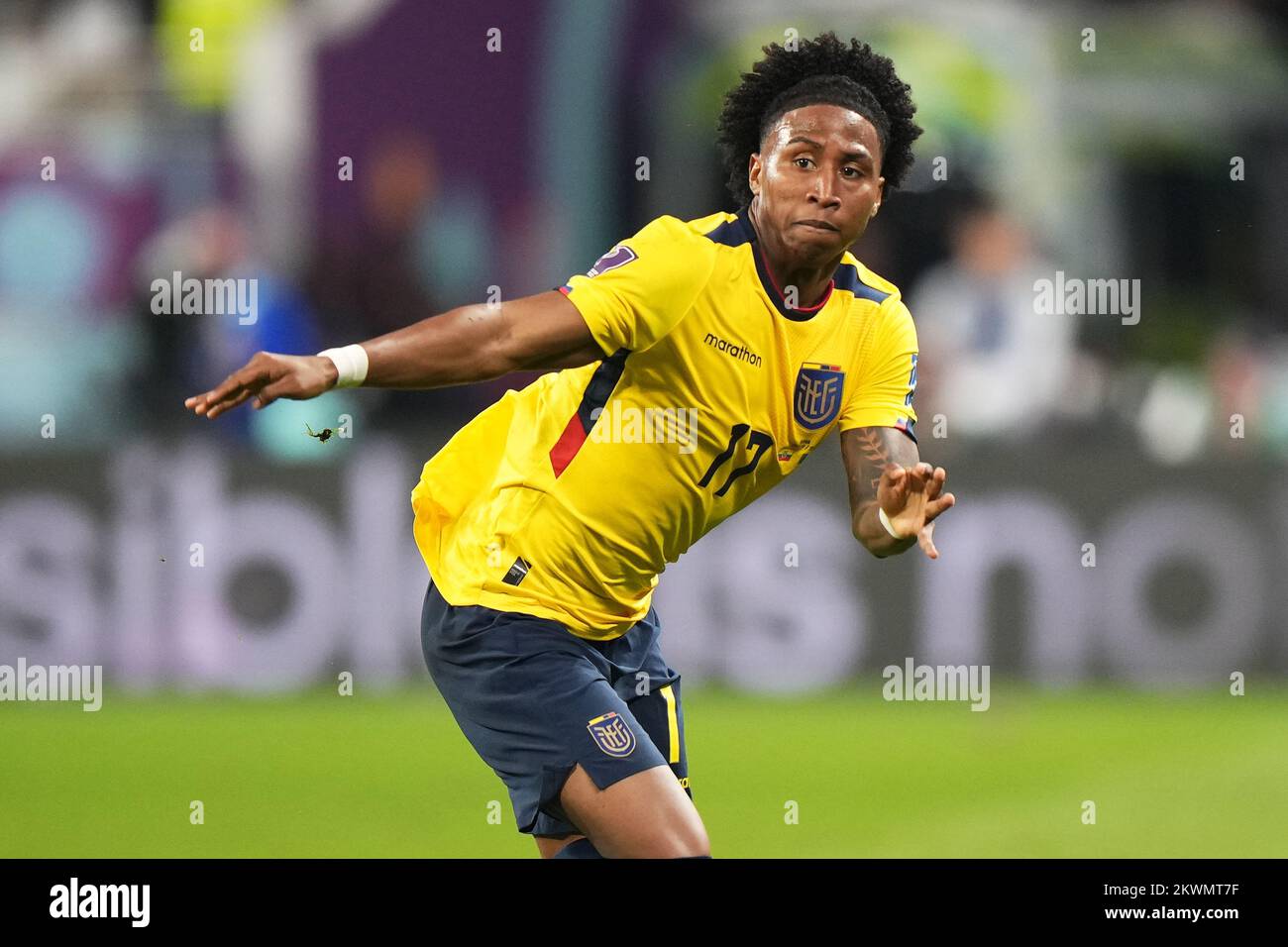 Angelo Preciado of Ecuador during the FIFA World Cup Qatar 2022 match ...