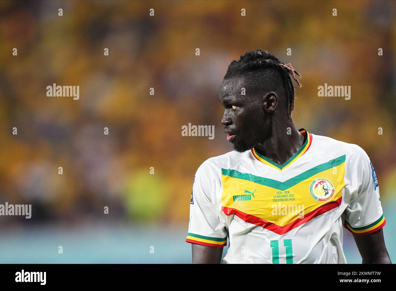 Pathe Ciss of Senegal during the FIFA World Cup Qatar 2022 match, Group ...