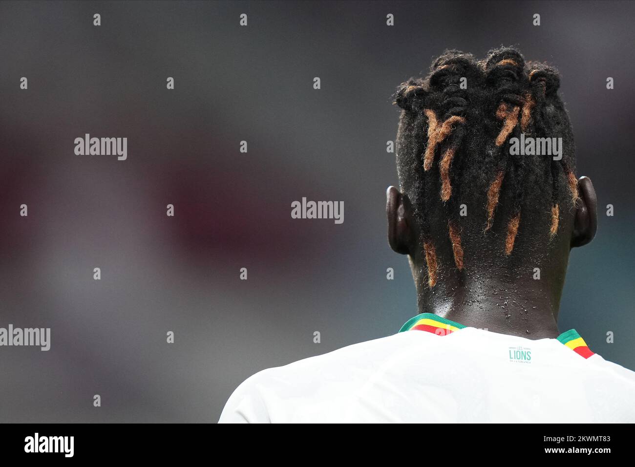 Pathe Ciss of Senegal during the FIFA World Cup Qatar 2022 match, Group ...