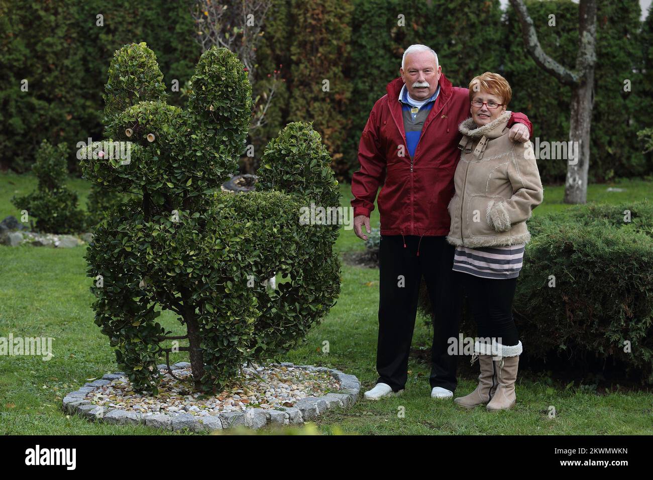 30.10.2012., Zagreb,Croatia - Garden in the backyard of family ...