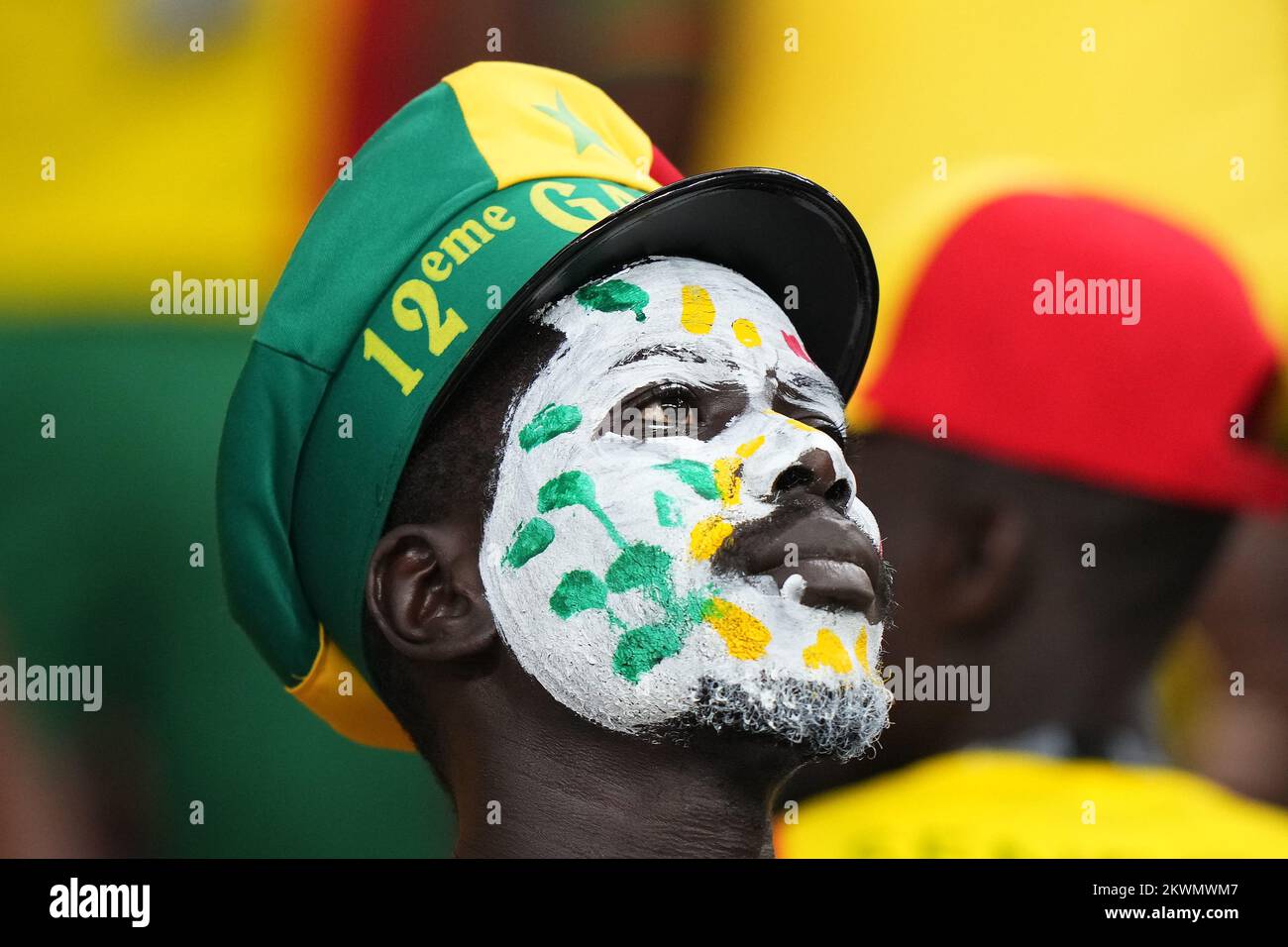 Senegal fan during the FIFA World Cup Qatar 2022 match, Group A ...