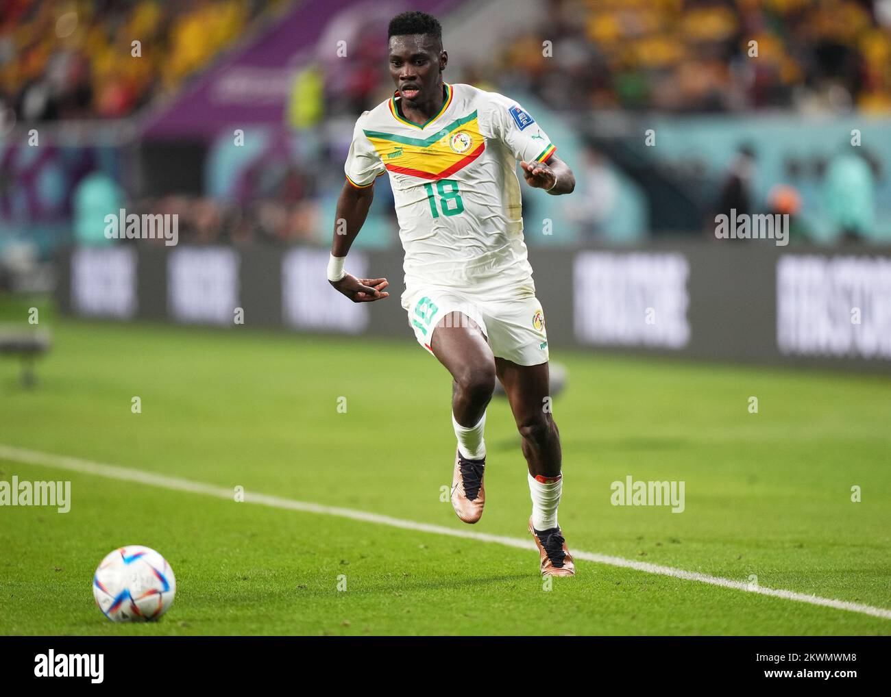 Ismalia Sarr of Senegal during the FIFA World Cup Qatar 2022 match ...