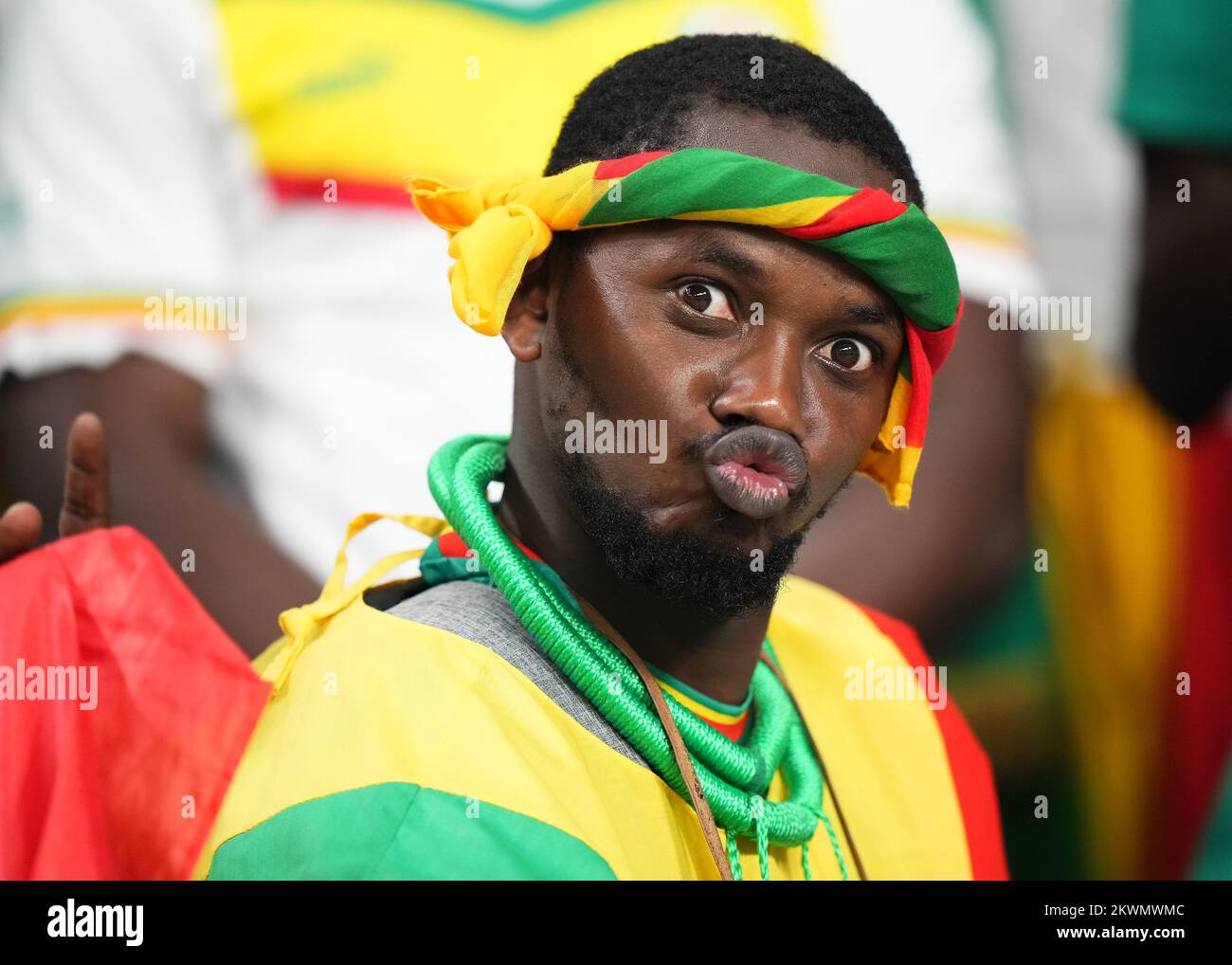 Senegal fan during the FIFA World Cup Qatar 2022 match, Group A ...