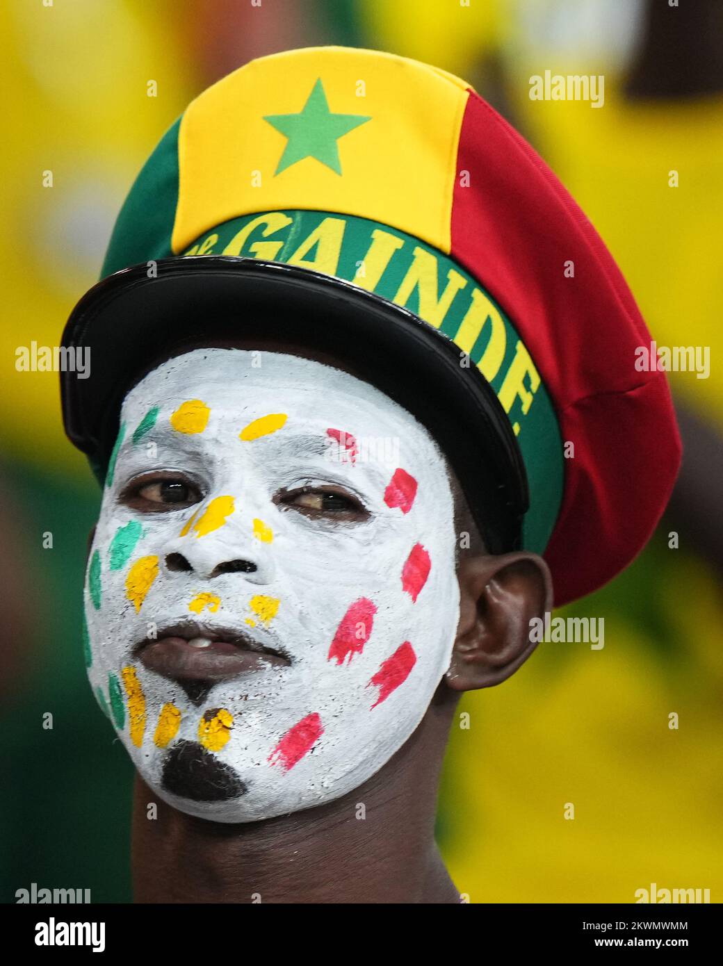 Senegal fan during the FIFA World Cup Qatar 2022 match, Group A ...