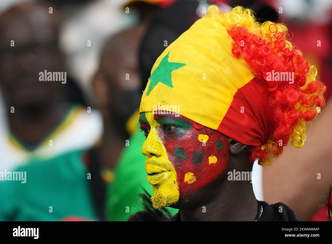 Senegal fan during the FIFA World Cup Qatar 2022 match, Group A ...