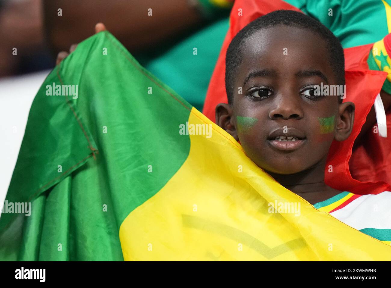 Senegal fan during the FIFA World Cup Qatar 2022 match, Group A ...
