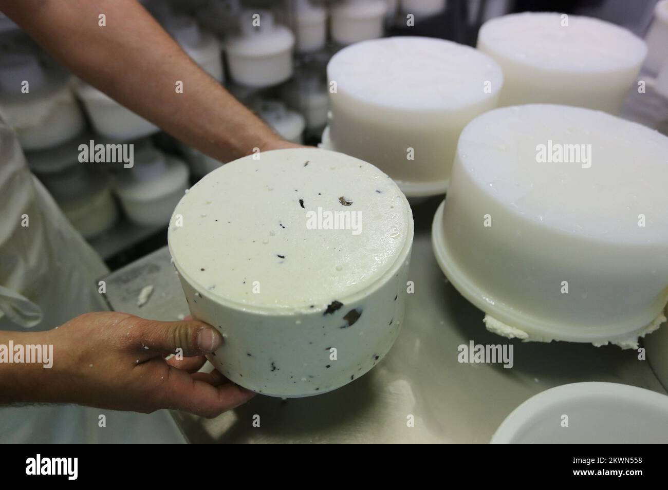 Croatia as the 28th EU Member State- cheese Pag cheese is originated ...