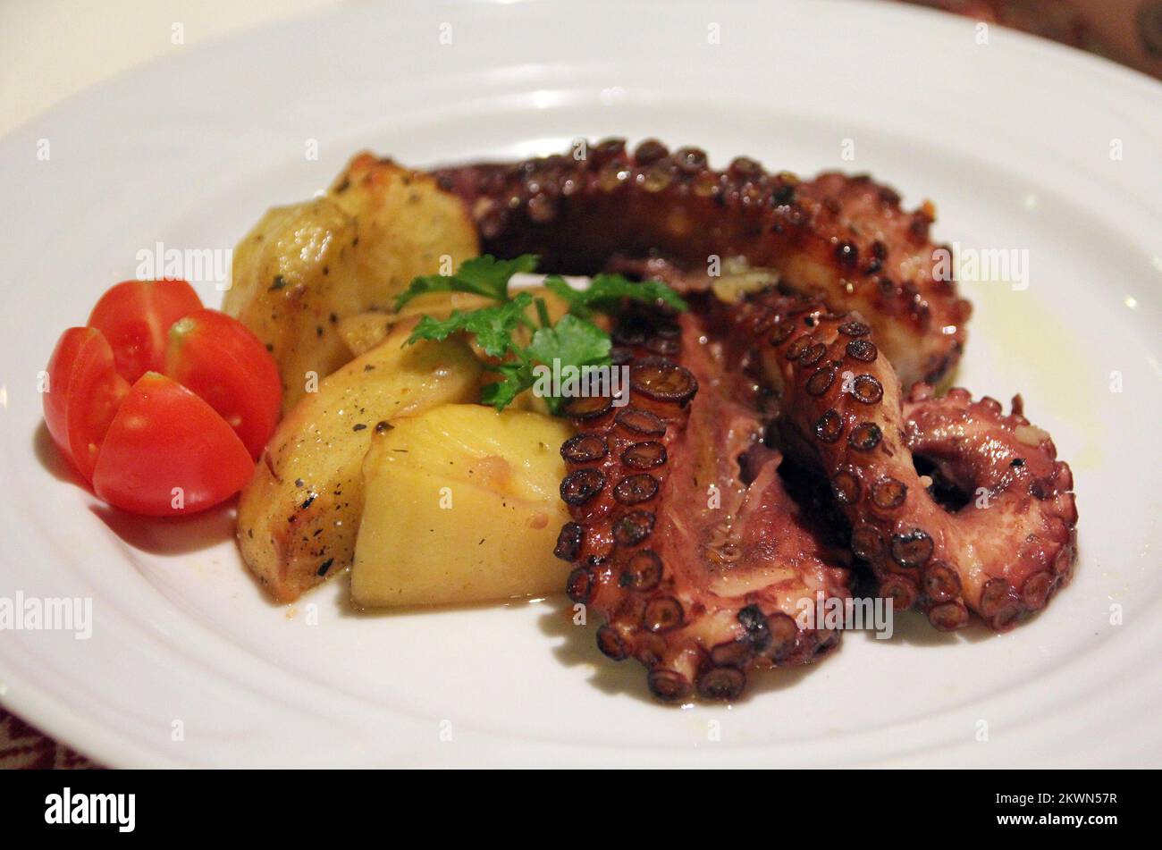 Croatia as the 28th EU Member State- octopus Adriatic coast is known by ...