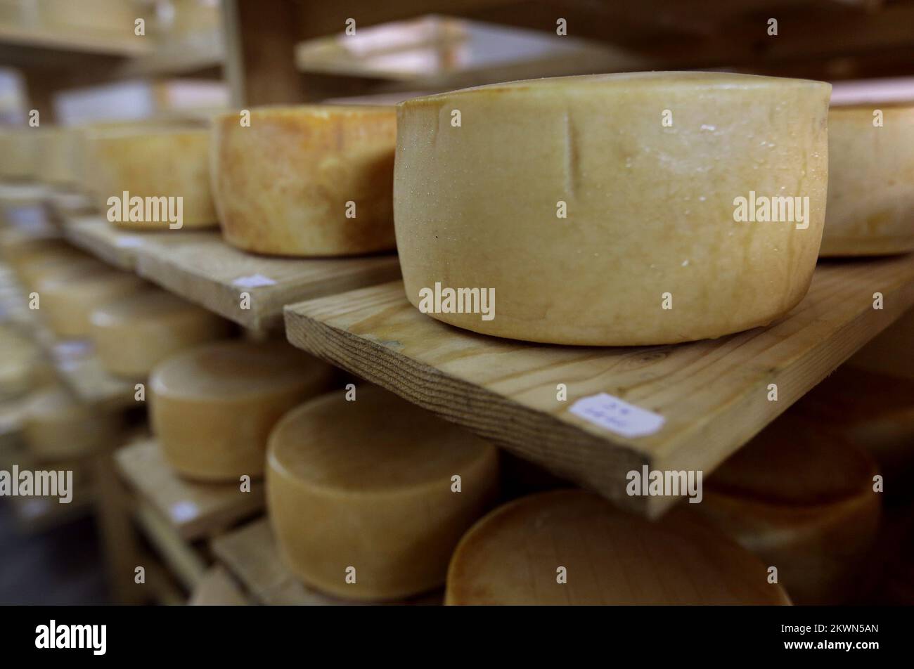 Croatia as the 28th EU Member State- cheese Pag cheese is originated ...