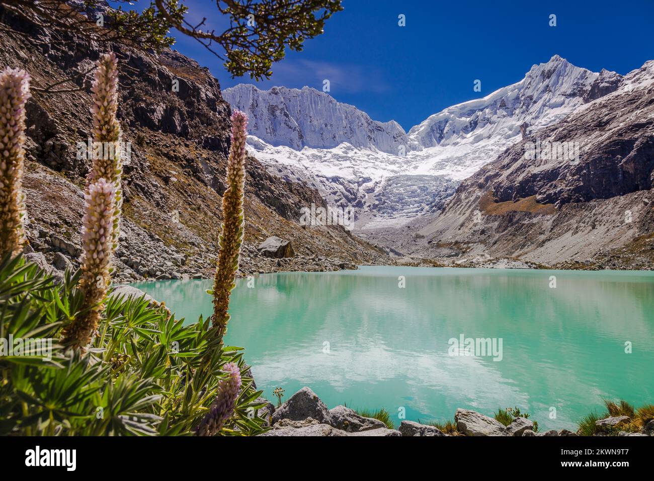 Llaca lake in Cordillera Blanca with snowcapped Andes, Ancash, Peru ...