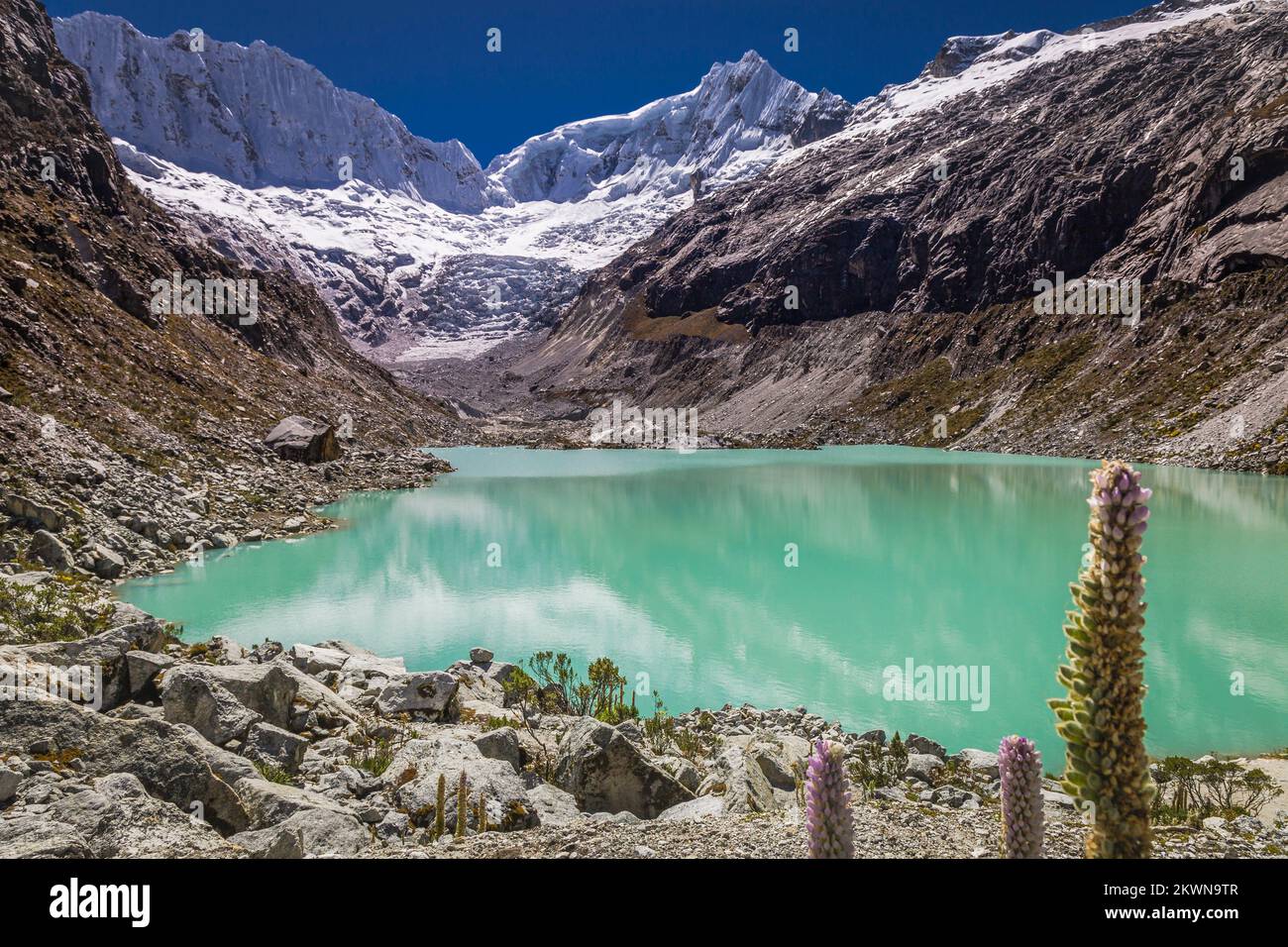 Llaca lake in Cordillera Blanca with snowcapped Andes, Ancash, Peru ...