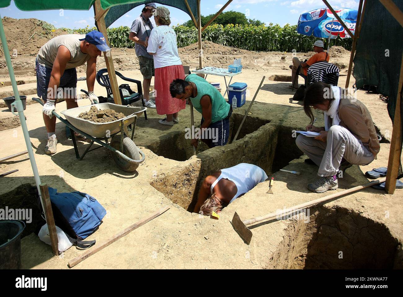Petrijevci hi-res stock photography and images - Alamy