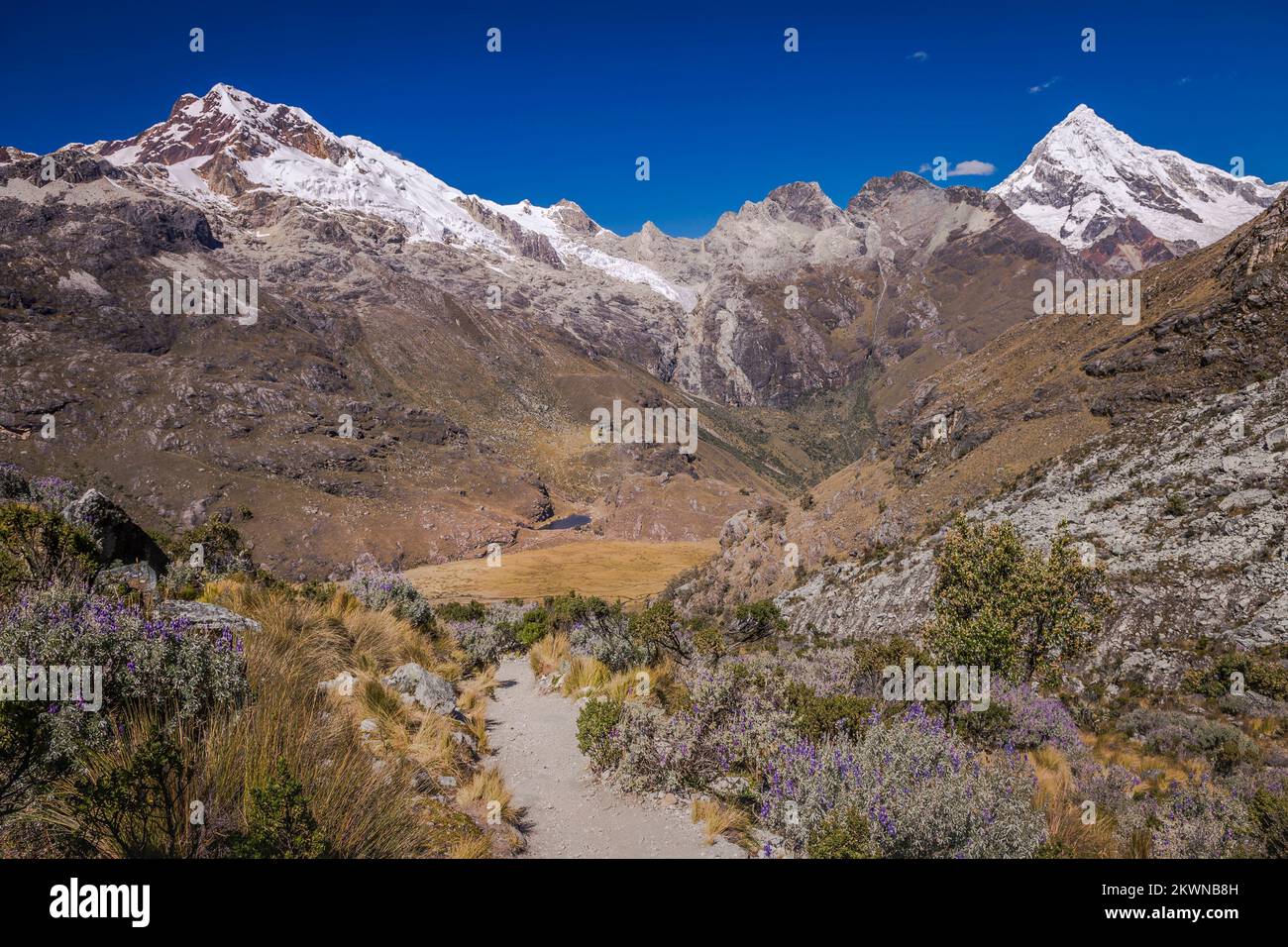 Trekking path, mountain pass in Huascaran, Cordillera Blanca, Ancash ...