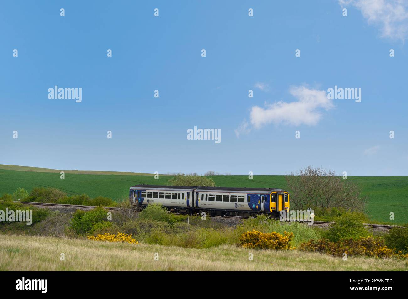 Class 156 in Northern livery travelling through the British countryside ...