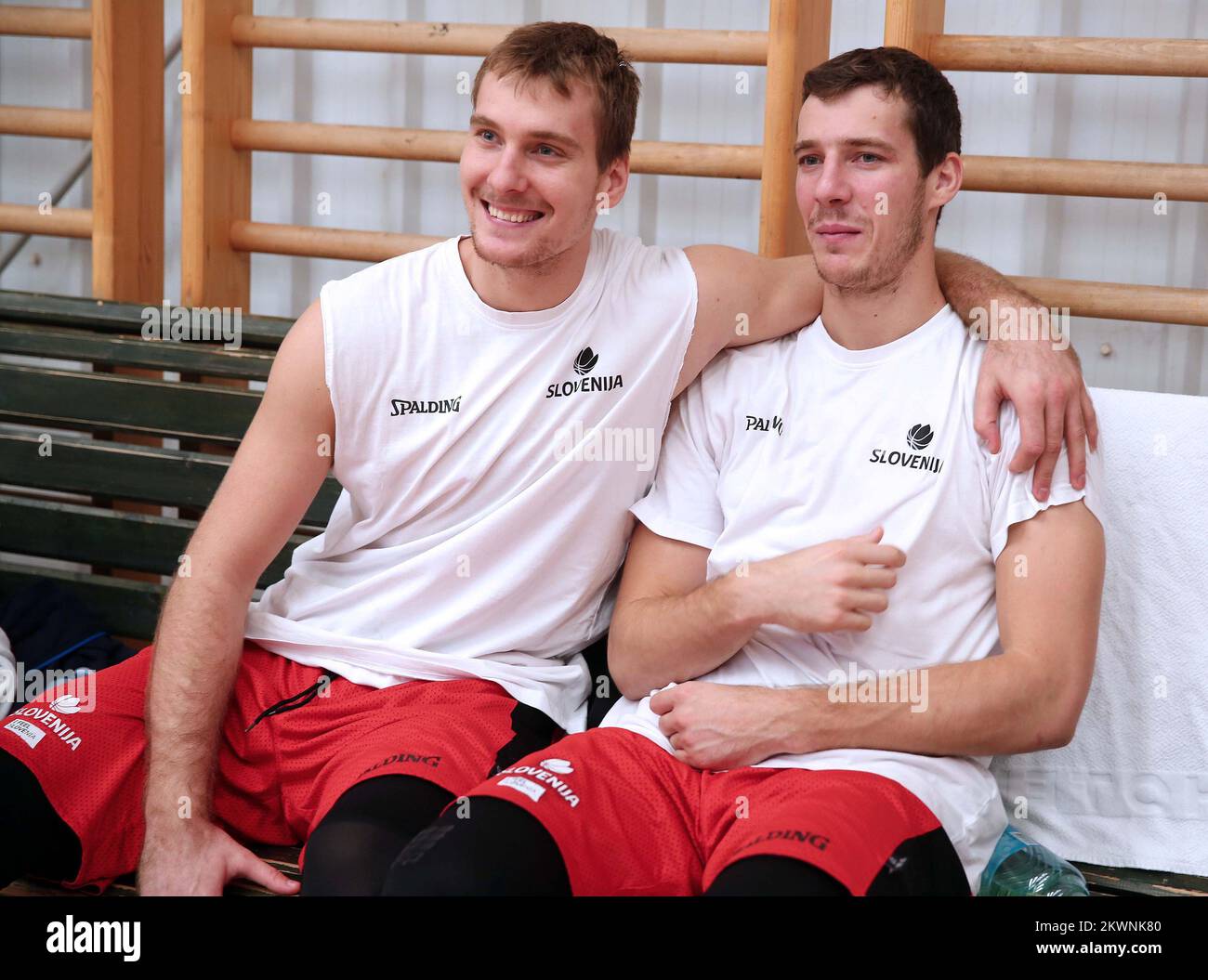 Zoran dragic basketball hi-res stock photography and images - Alamy