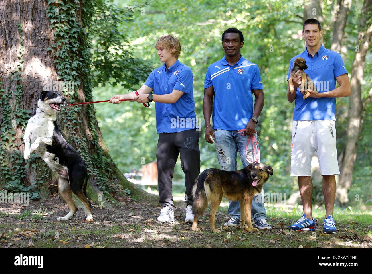 16.09.2013., Zagreb, Croatia - Soccer players from GNK Dinamo during ...