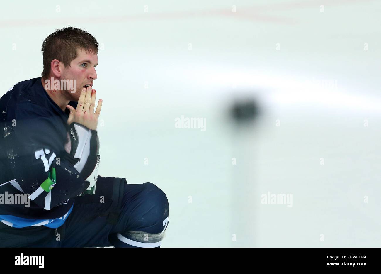 Stanislav romanov hi-res stock photography and images - Alamy