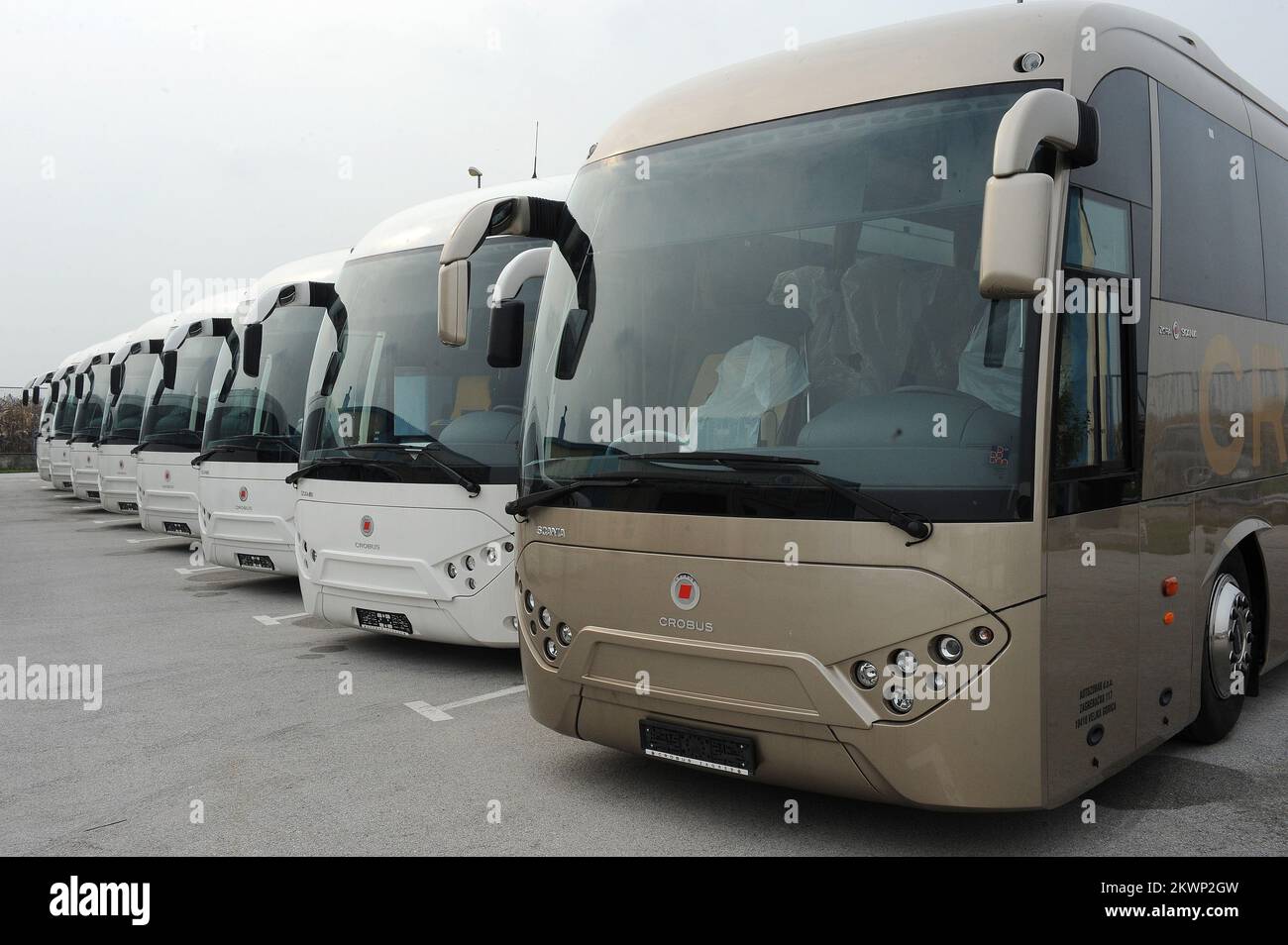 Crobus hi-res stock photography and images - Alamy