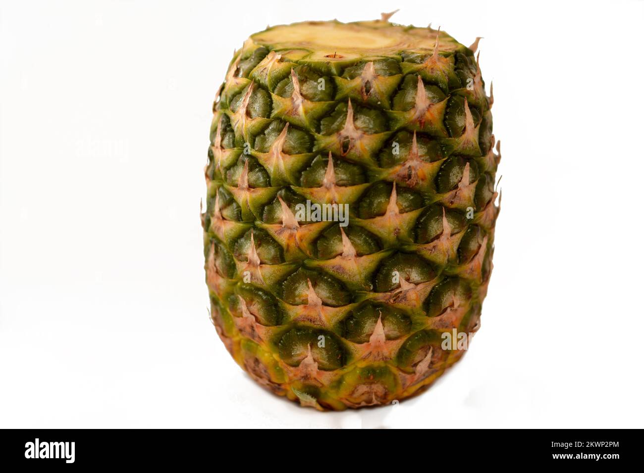 The Pineapple (Ananas comosus), a tropical plant with an edible fruit ...