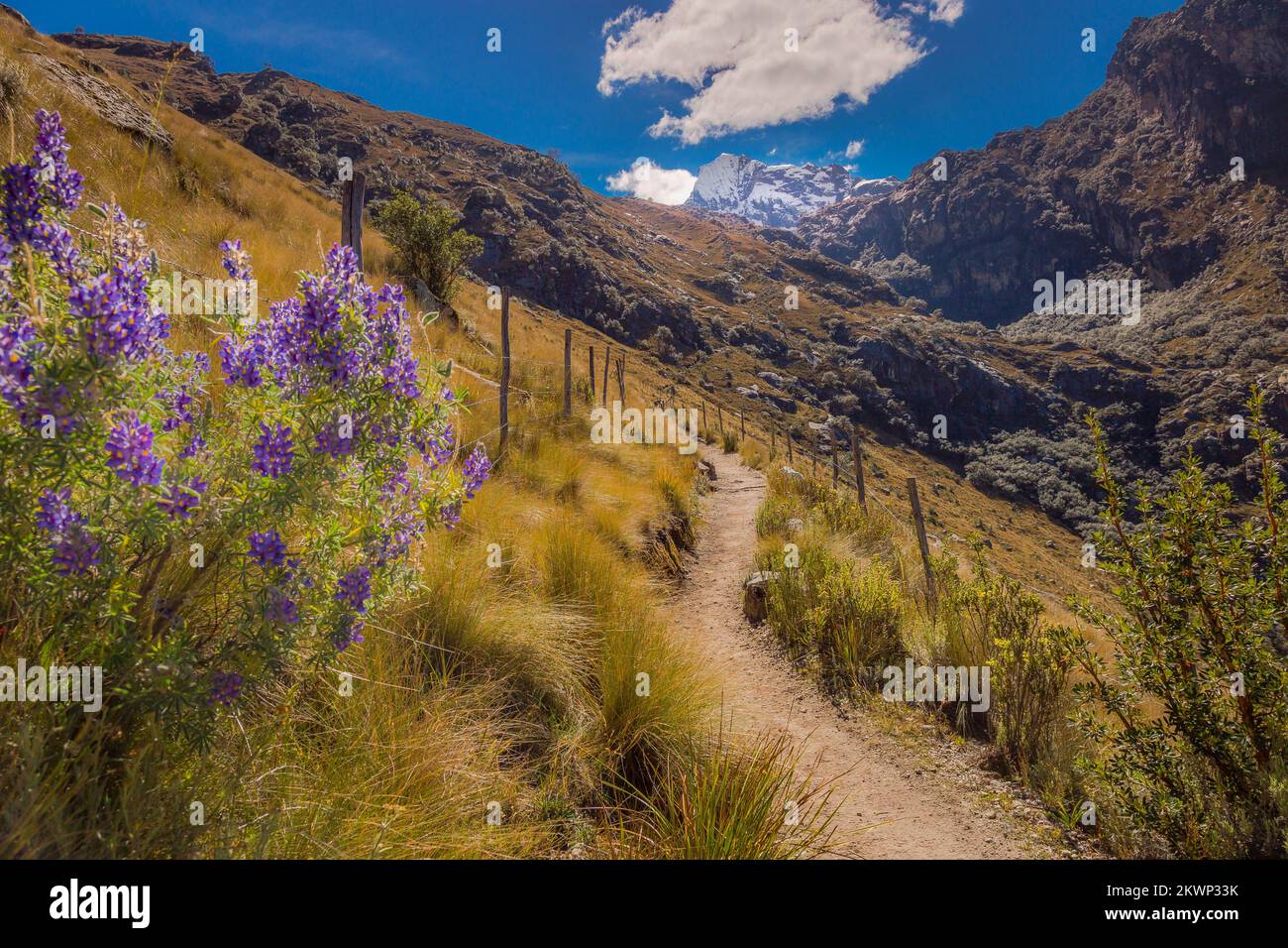 Trekking path, mountain pass in Huascaran, Cordillera Blanca, Ancash ...