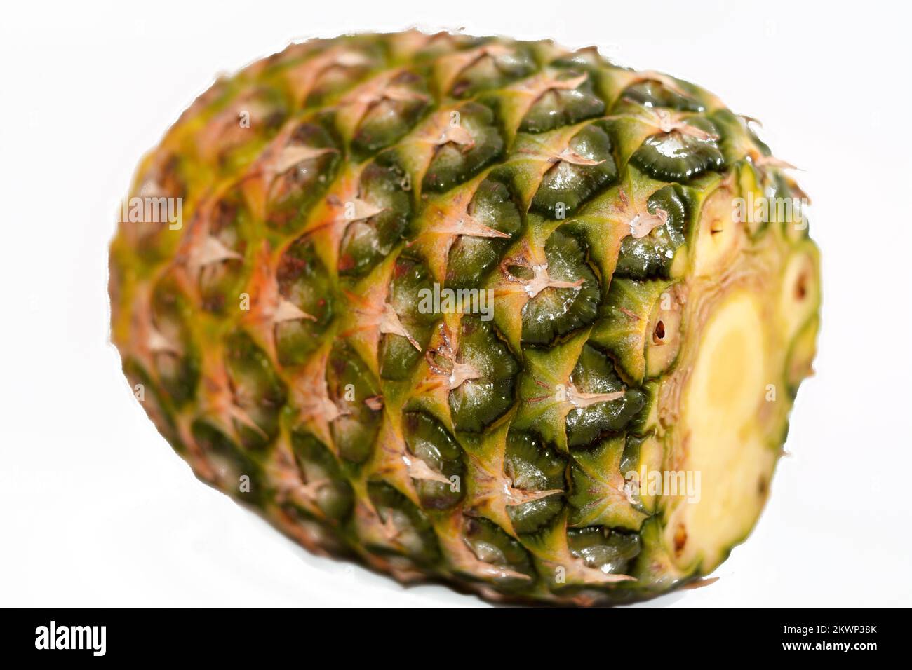 The Pineapple (Ananas comosus), a tropical plant with an edible fruit ...
