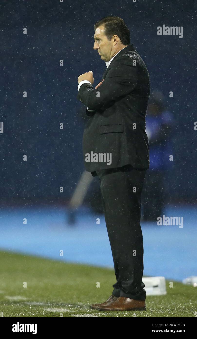 Marc wilmots belgium world cup hi-res stock photography and images - Alamy