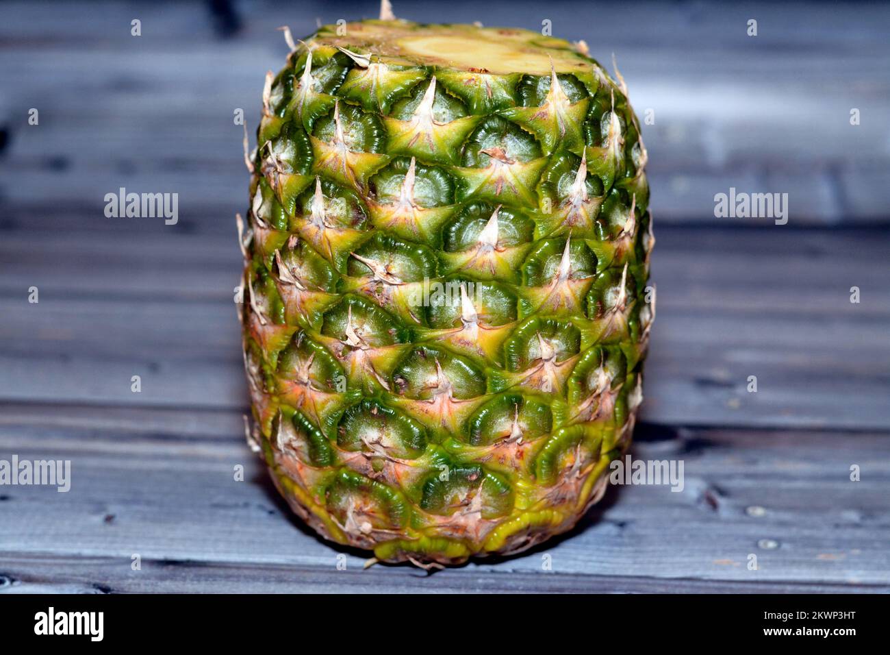 The Pineapple (Ananas comosus), a tropical plant with an edible fruit ...