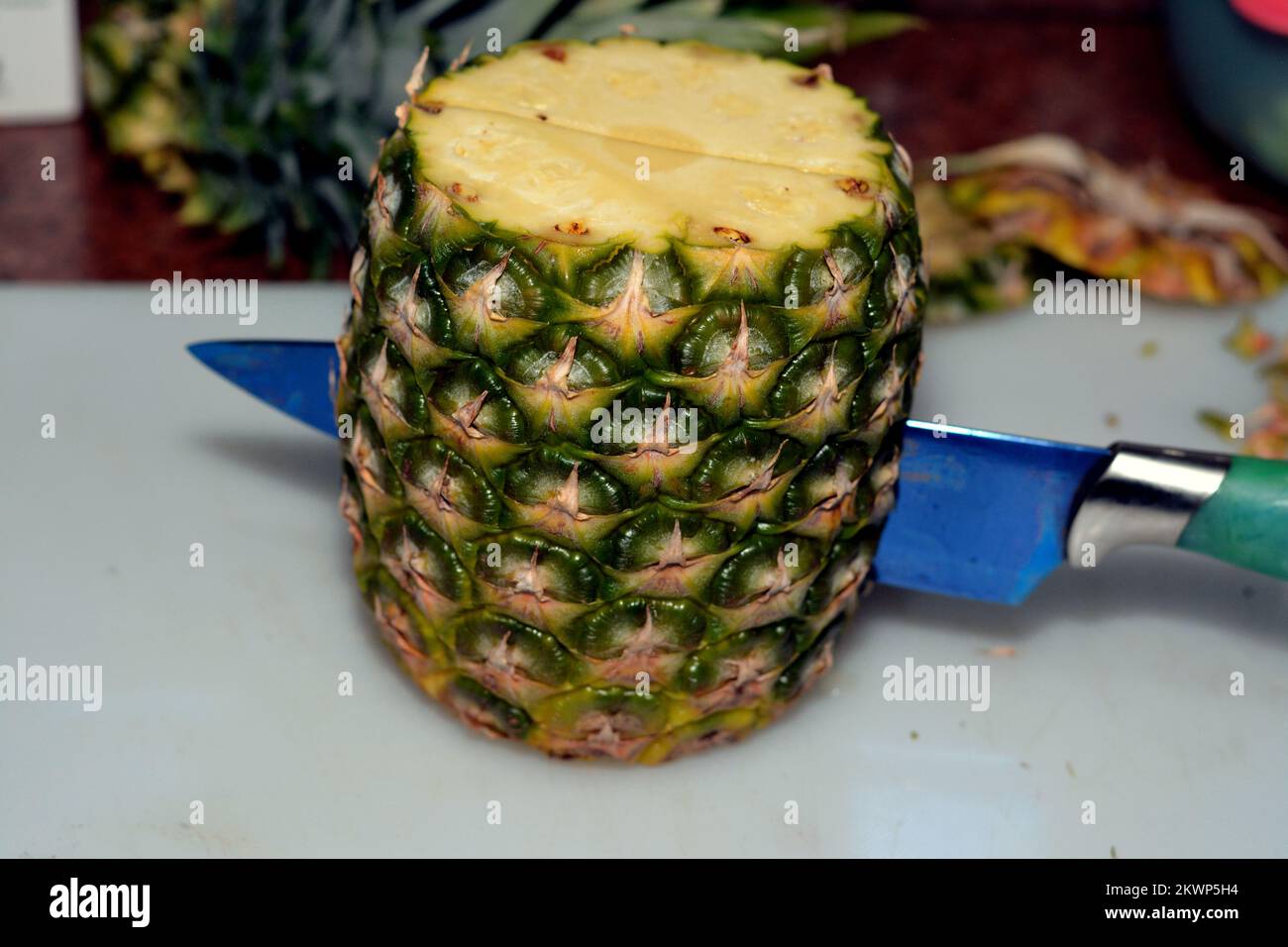 The Pineapple (Ananas comosus), a tropical plant with an edible fruit ...