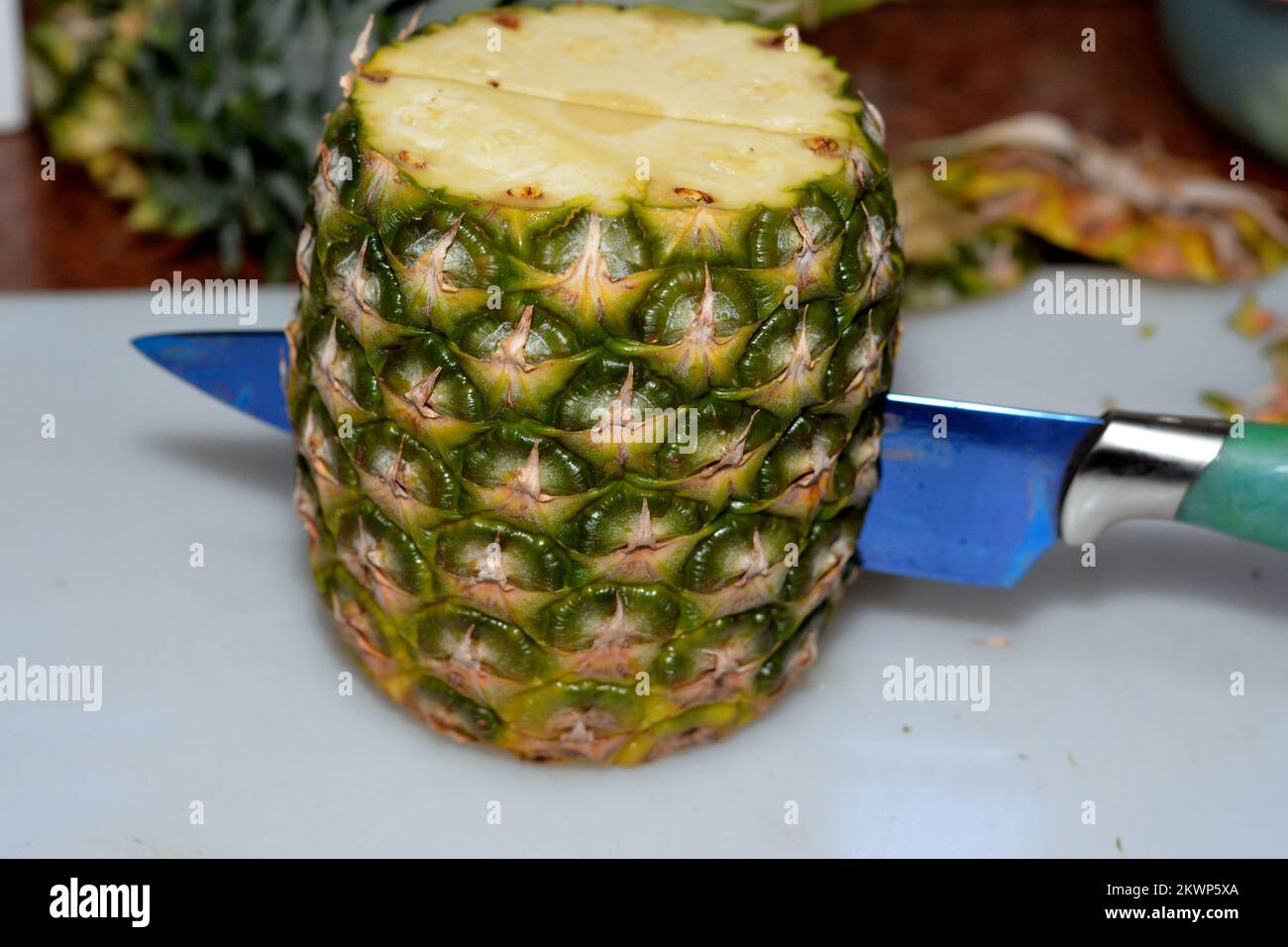 The Pineapple (Ananas comosus), a tropical plant with an edible fruit ...