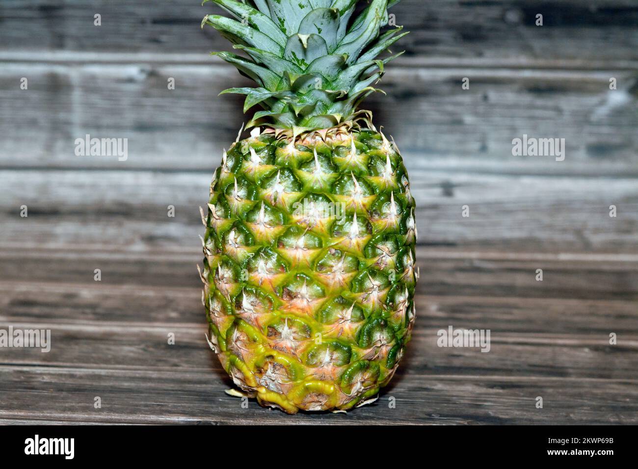 The Pineapple (Ananas comosus), a tropical plant with an edible fruit ...