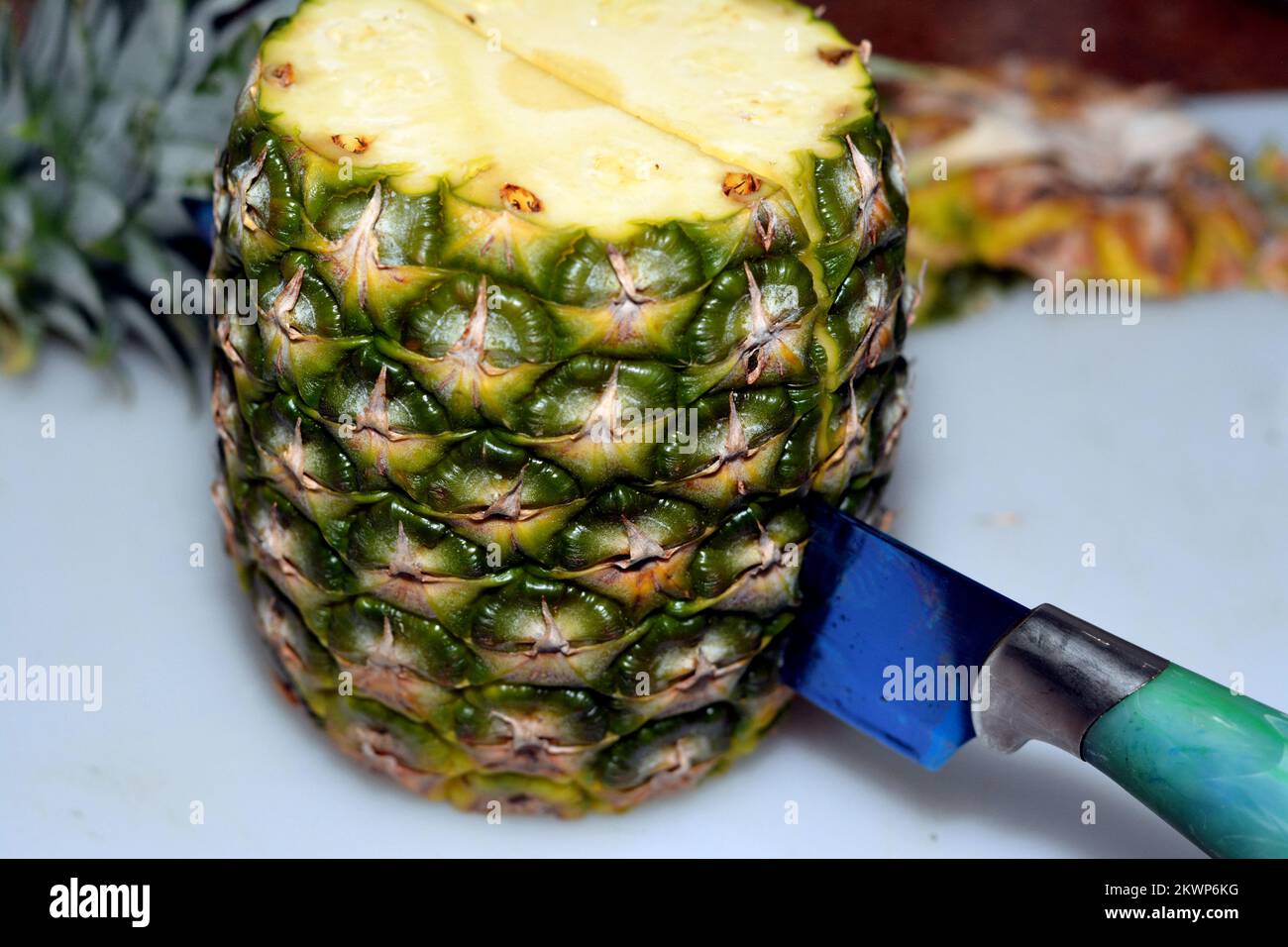 The Pineapple (Ananas comosus), a tropical plant with an edible fruit ...