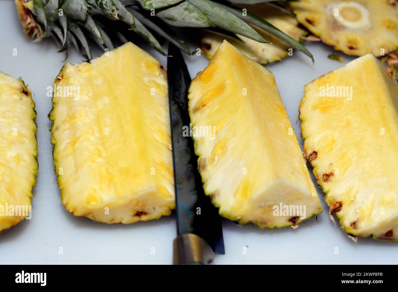 The Pineapple (Ananas comosus), a tropical plant with an edible fruit ...