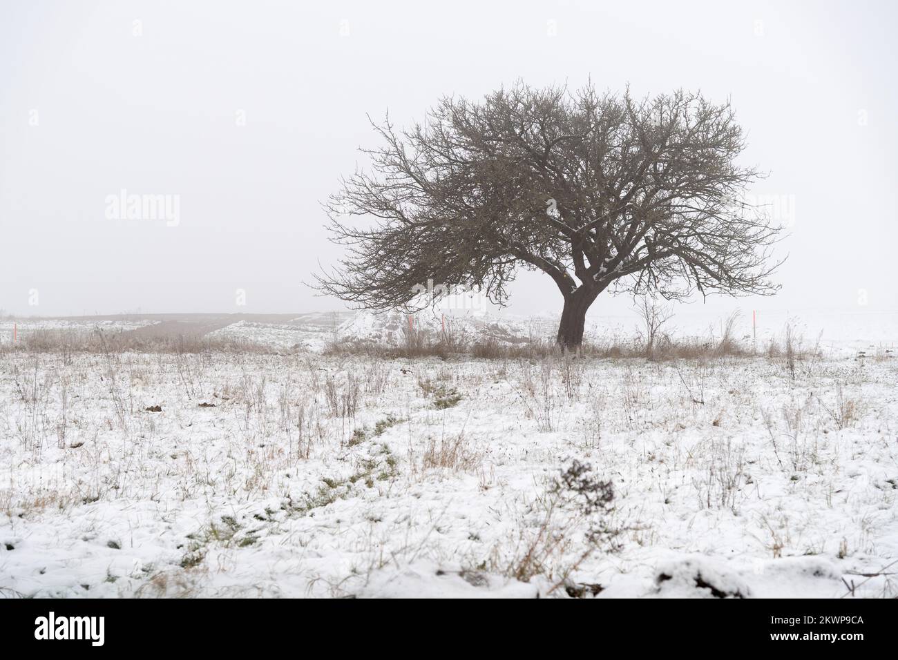 Winter in Pepowo, Poland © Wojciech Strozyk / Alamy Stock Photo Stock ...